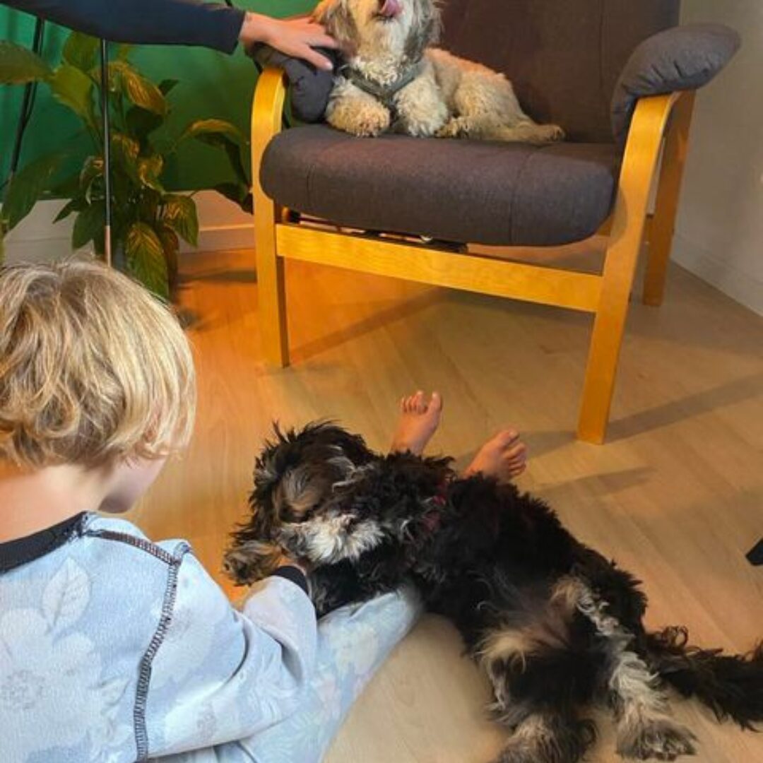 Hundeterapi for en sensitiv og selvskadende pige fra Bornholm